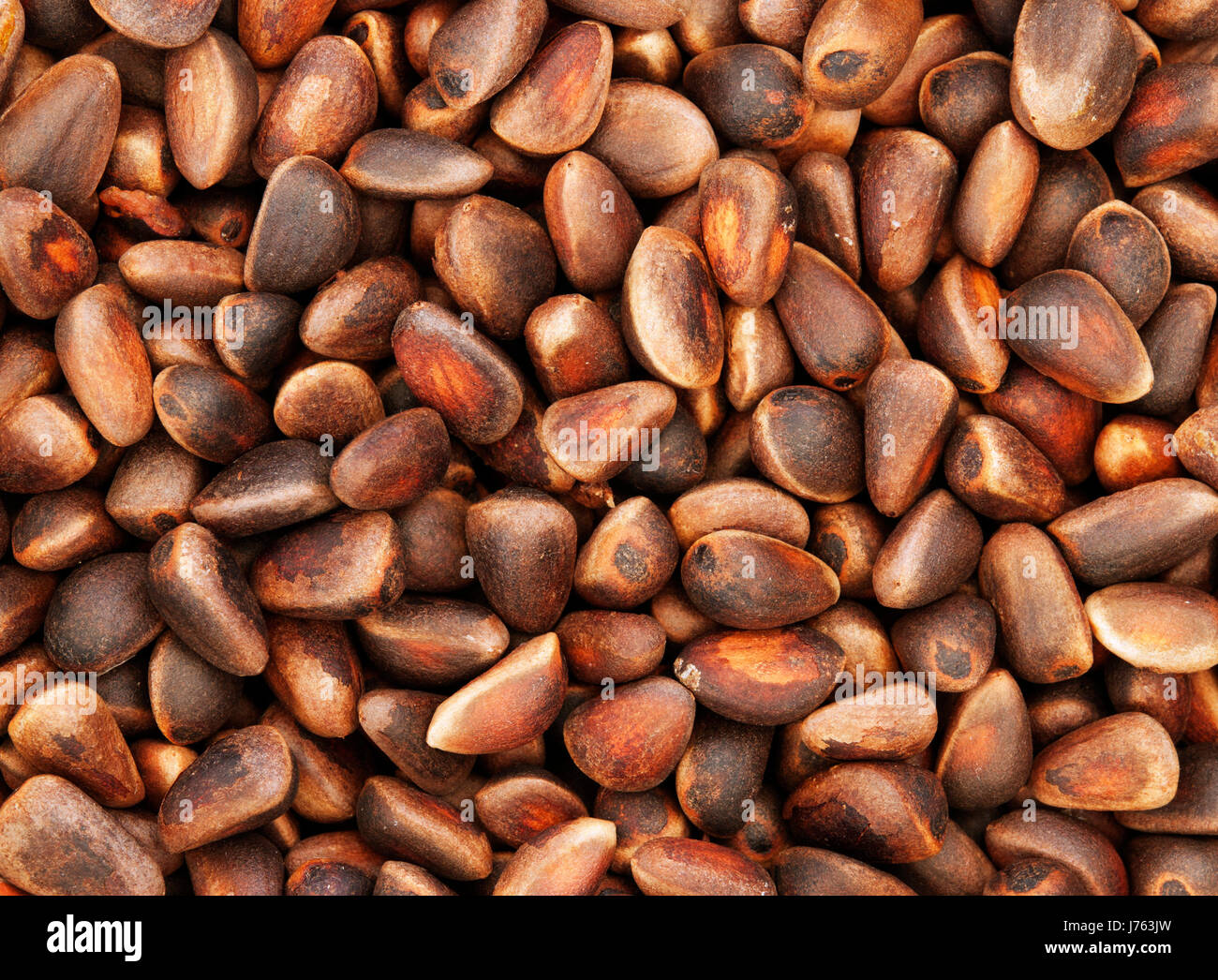 pine nuts seed emblements seeds backdrop background texture food ...