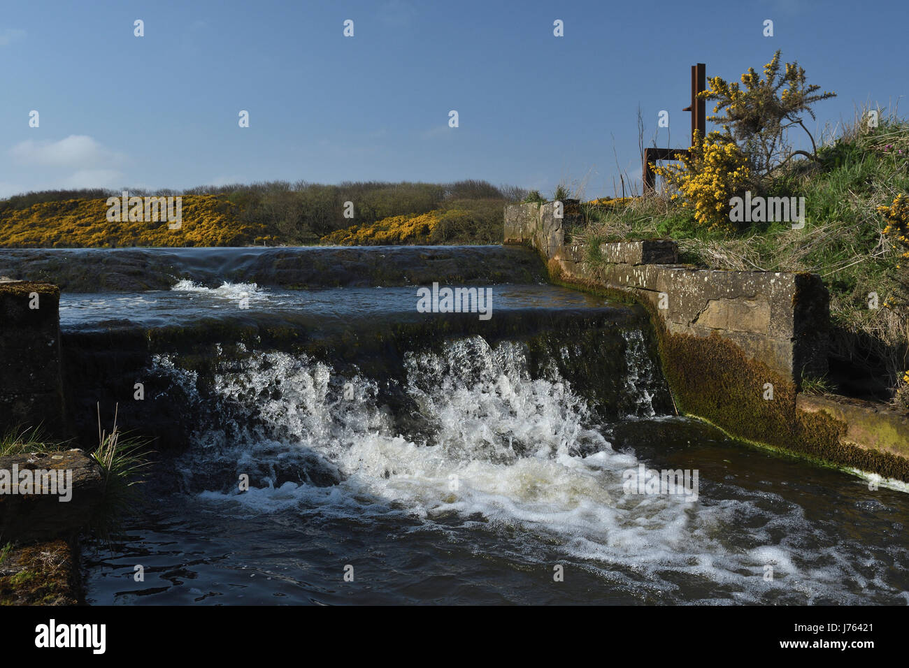 Ham mill pond hi-res stock photography and images - Alamy