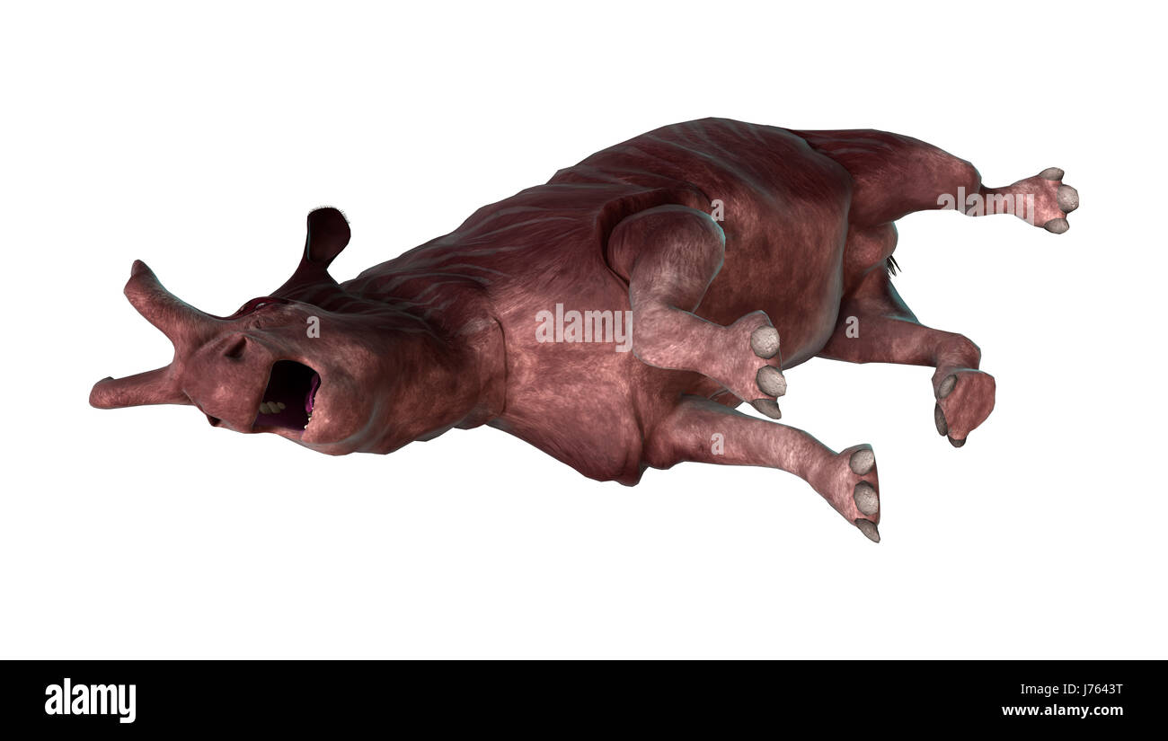 3D digital render of a fantasy Kiroi animal isolated on white ...