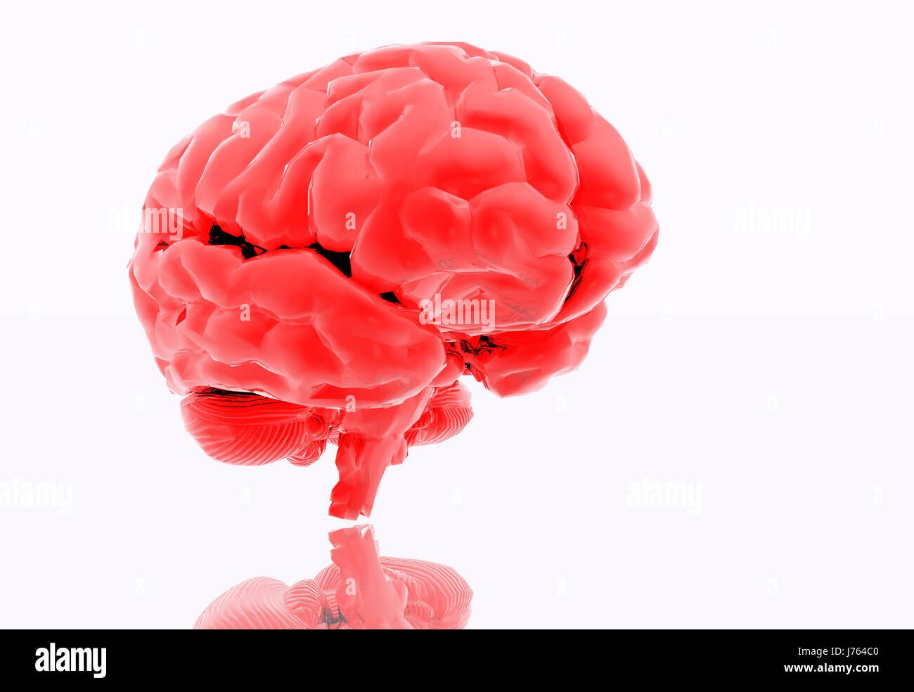 illustration anatomy brain science research human human being think ...