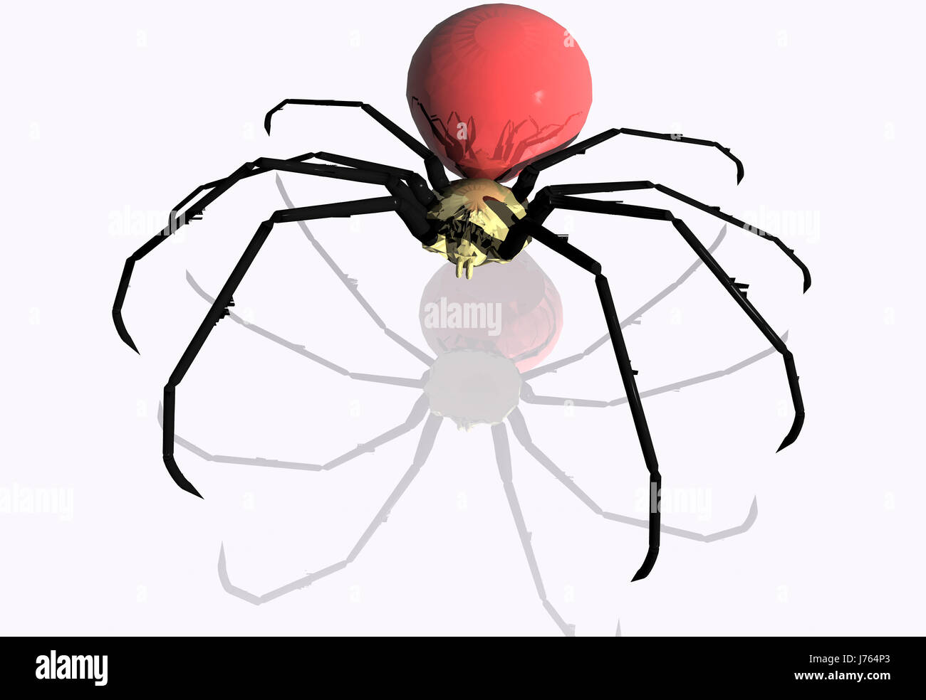 spider illustration legs danger black swarthy jetblack deep black hairy ...