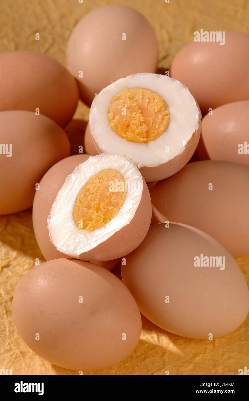 Hatcher egg hi-res stock photography and images - Alamy