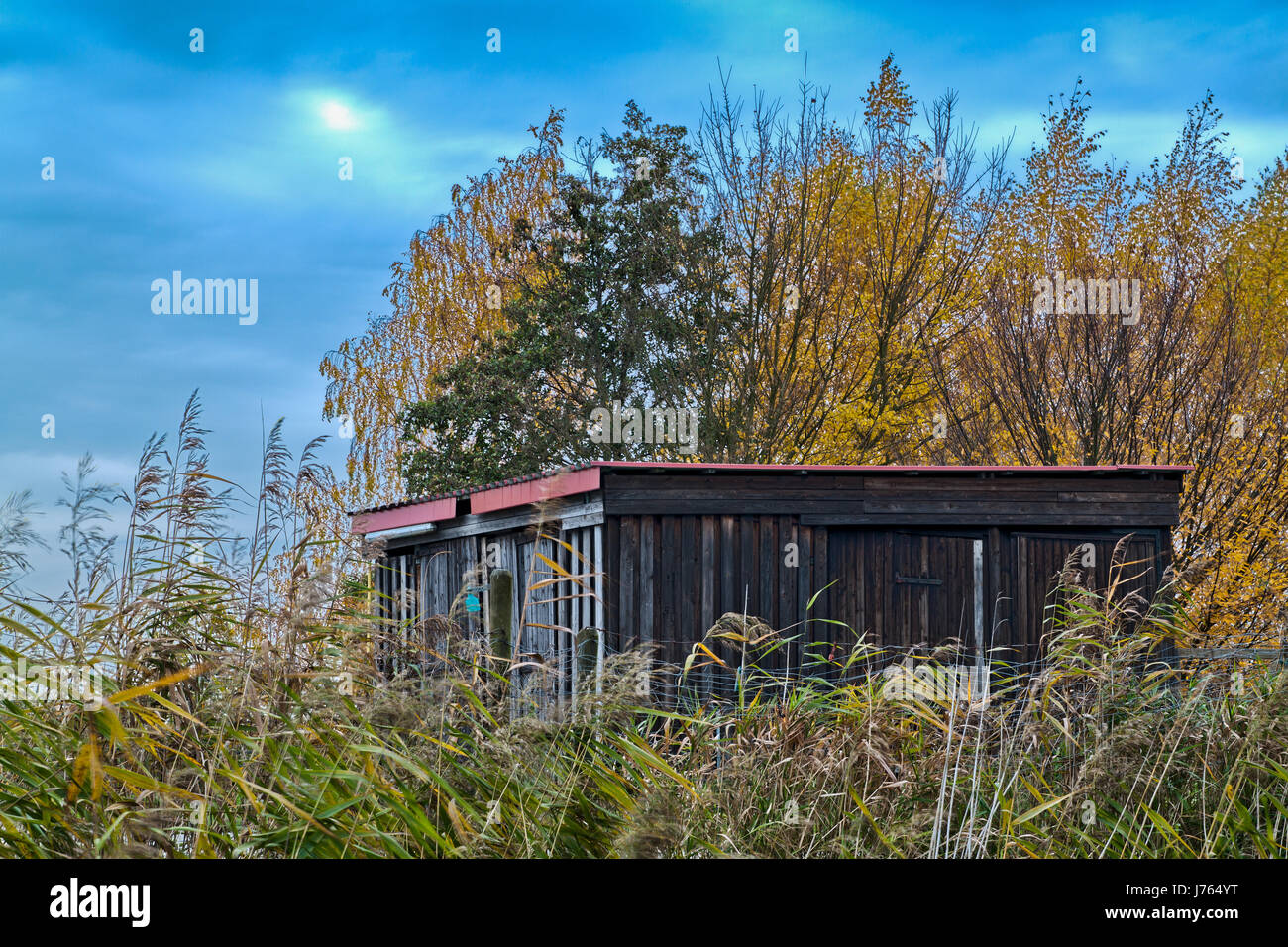 wood wild booth shelter forest hut fall autumn blue house building ...