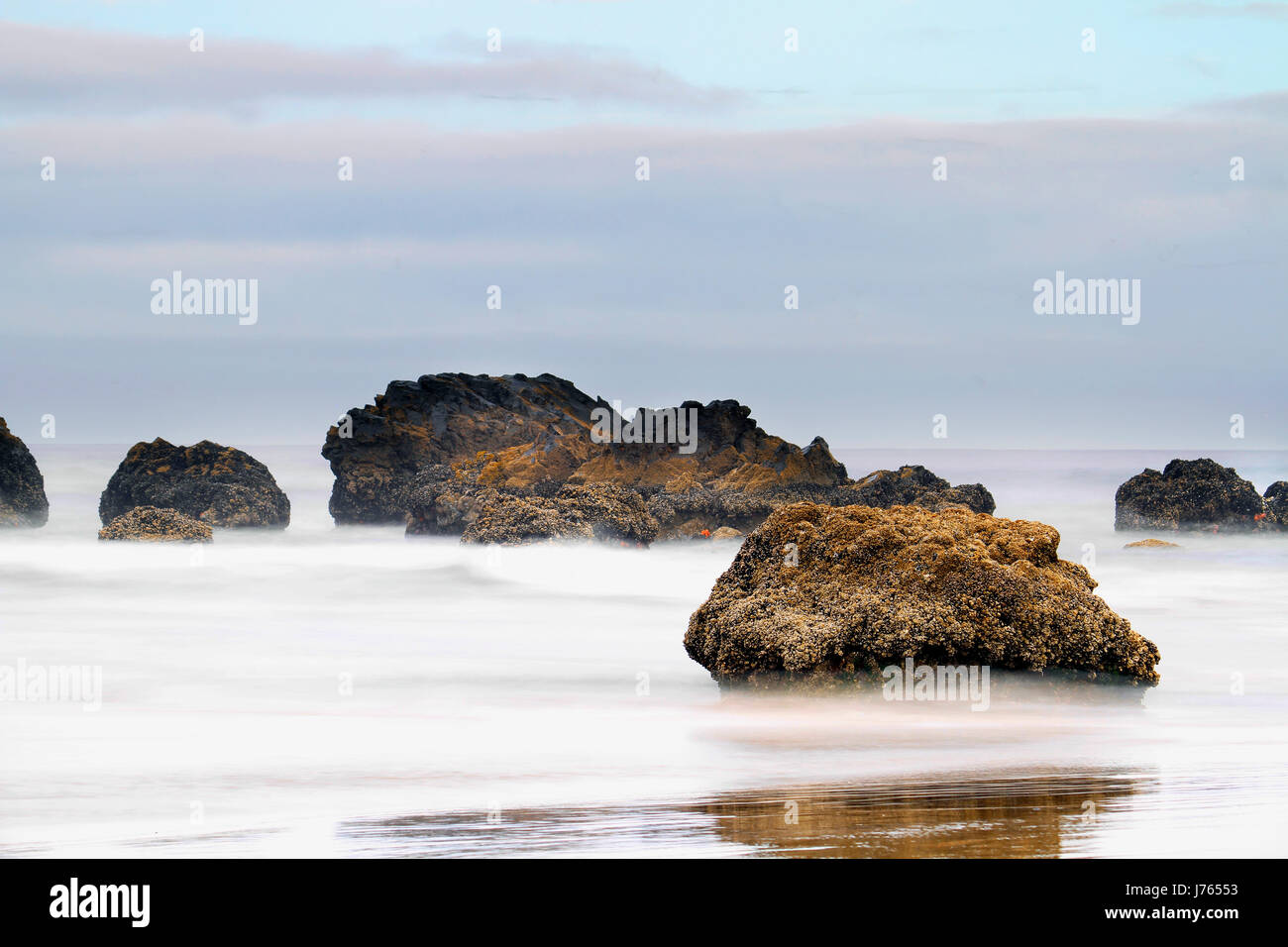 fog beach seaside the beach seashore dawn pacific salt water sea ocean ...