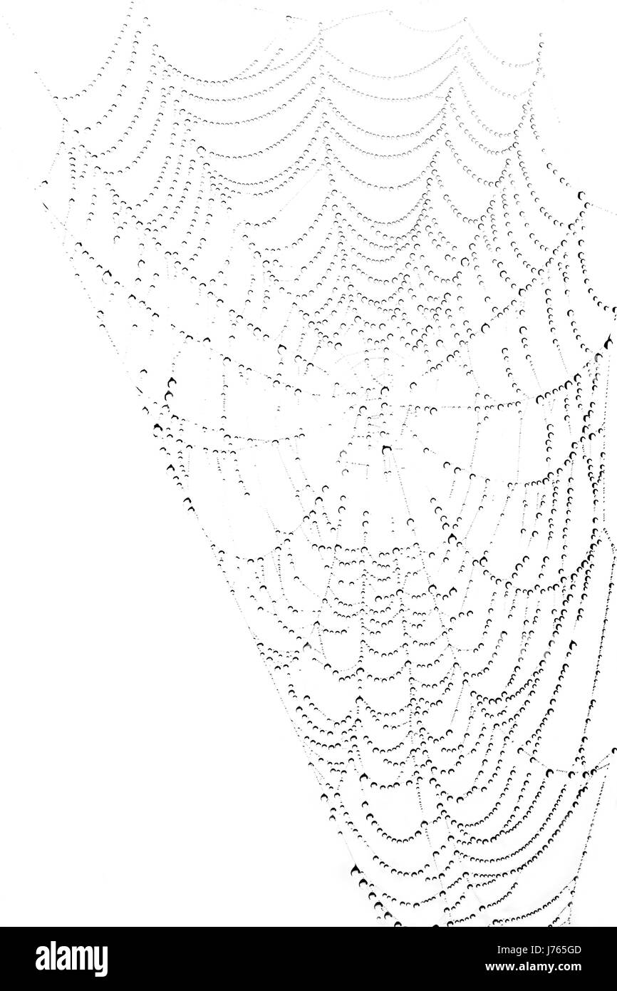 Fogdrops hi-res stock photography and images - Alamy