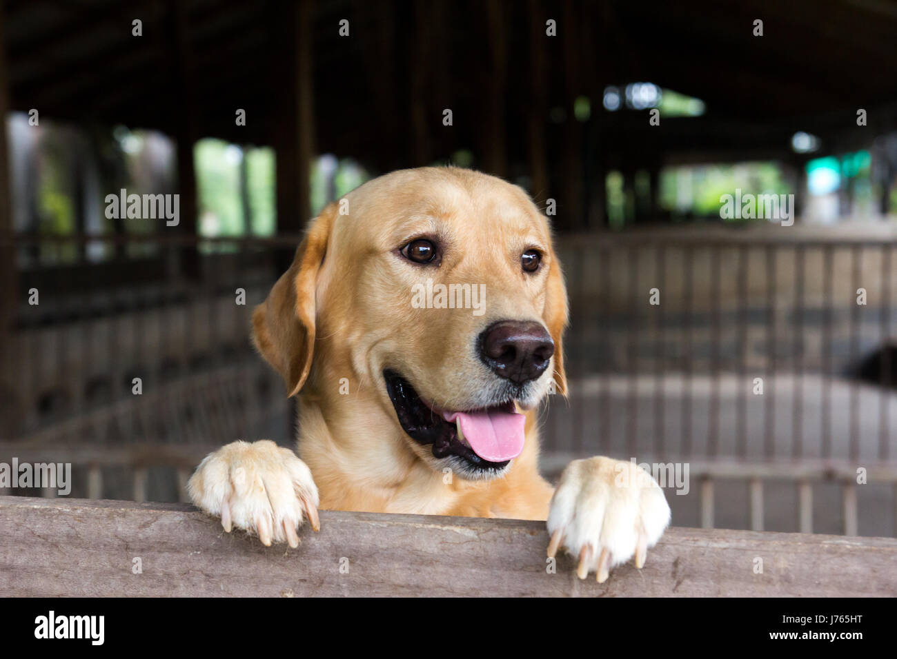 Stood over stand standing hi-res stock photography and images - Alamy