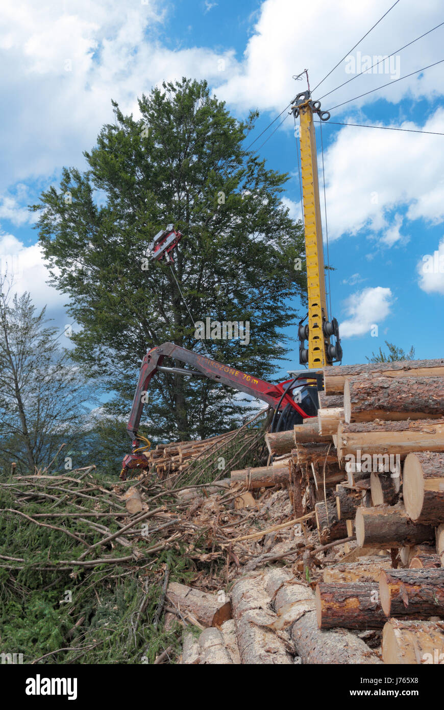 Timber harvesting with a skyline crane and manipulator in a mixed ...