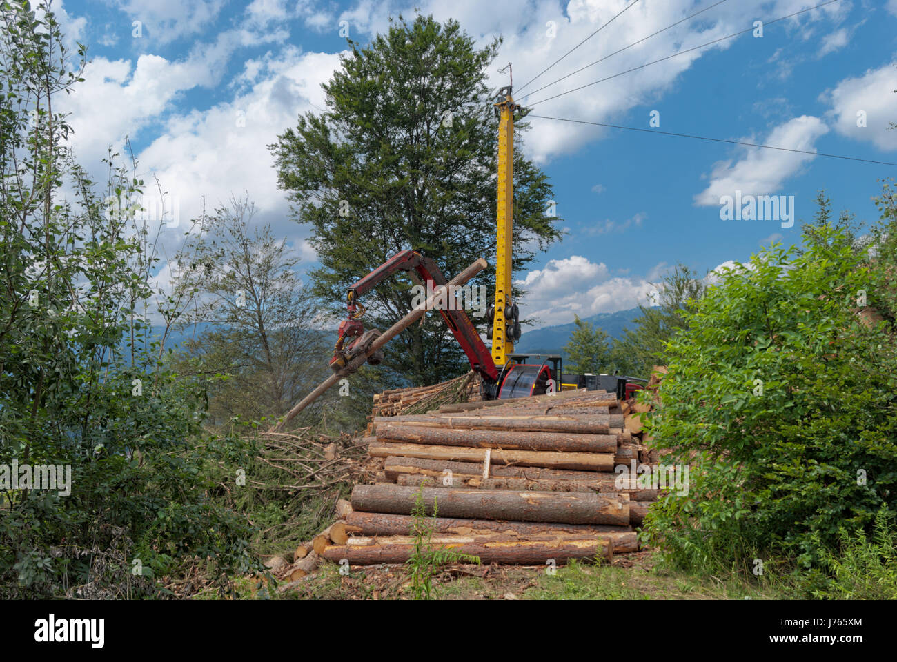 Timber harvesting with a skyline crane and manipulator in a mixed ...