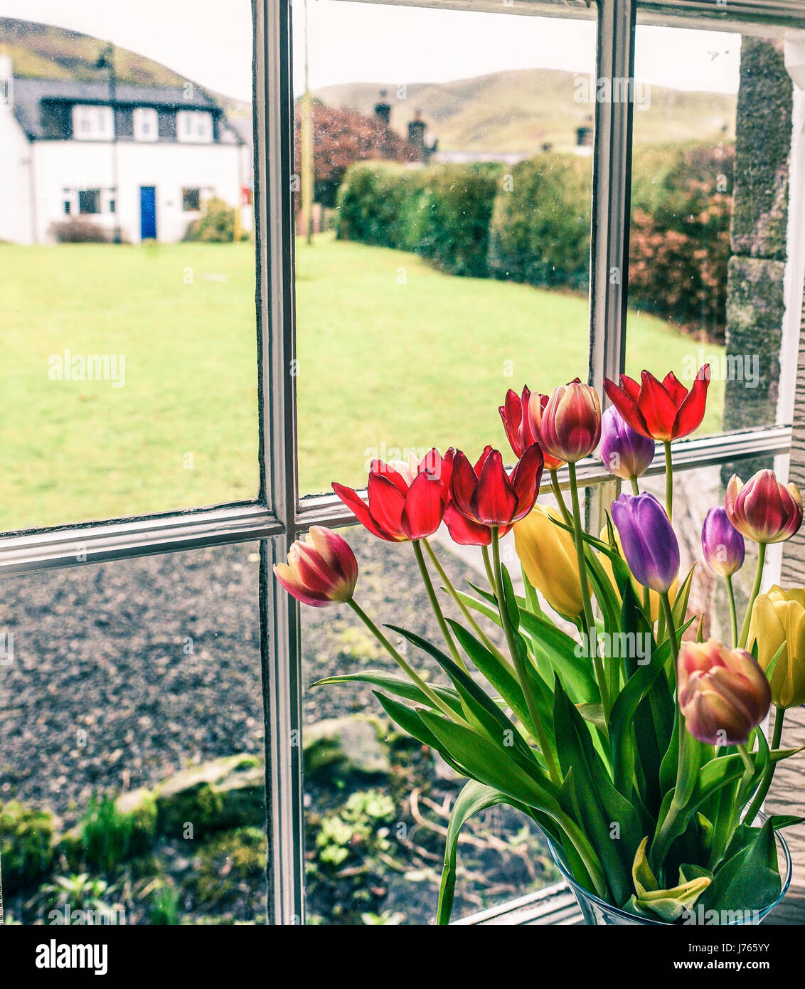 Idyllic view through a rural cottage with flowers Stock Photo - Alamy