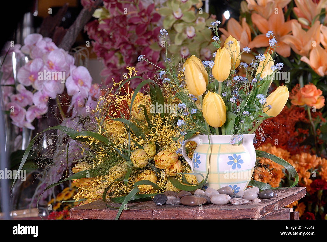 bloom blossom flourish flourishing flower flowers plant flora stalk ...