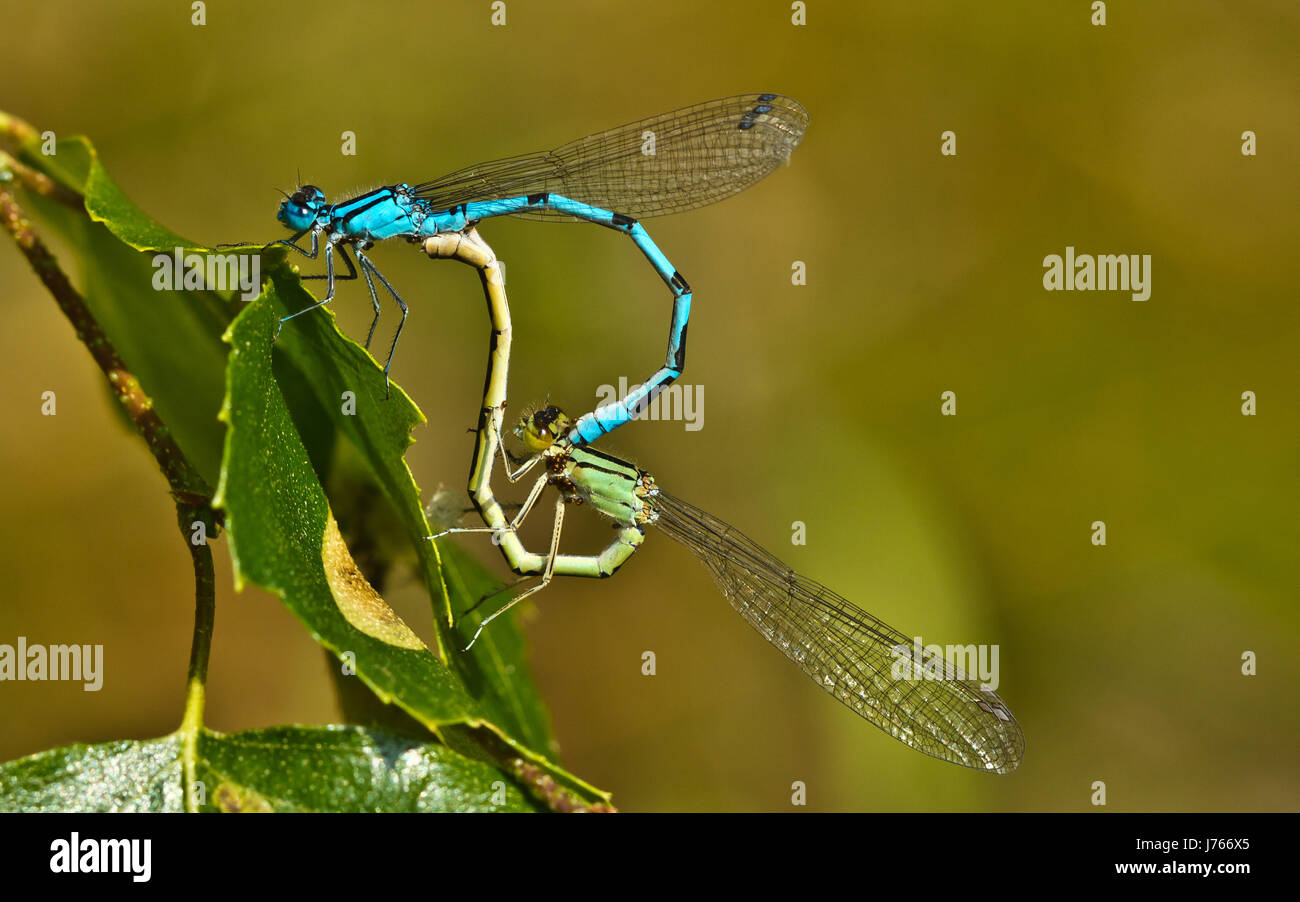 Another world view hi-res stock photography and images - Alamy