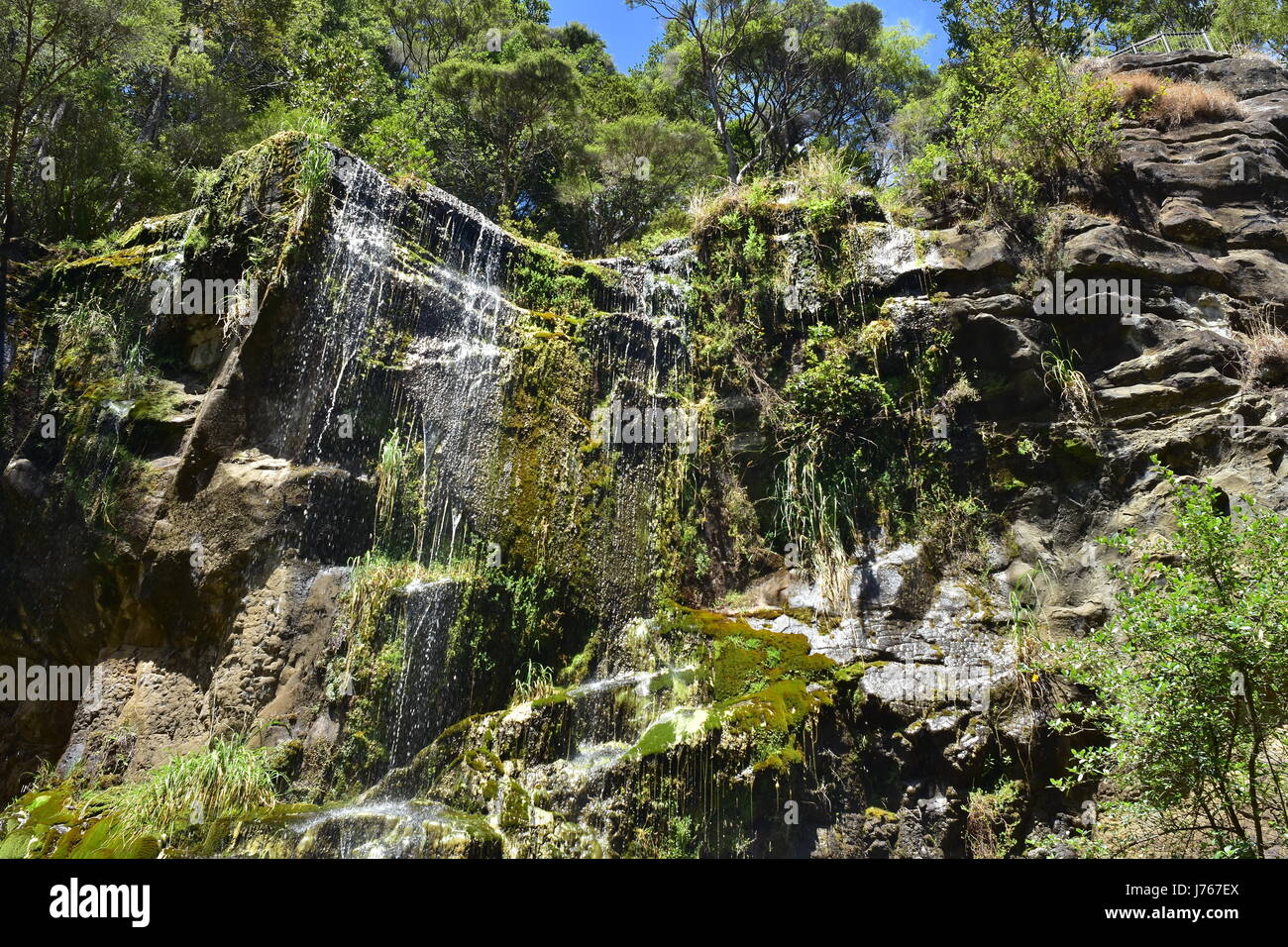 One of many waterfalls in Waitakere Ranges Regional Park in West ...