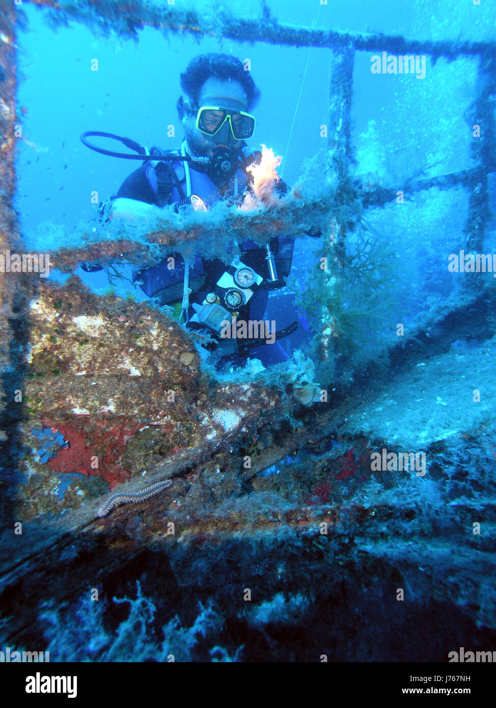 divers on a shipwreck Stock Photo - Alamy