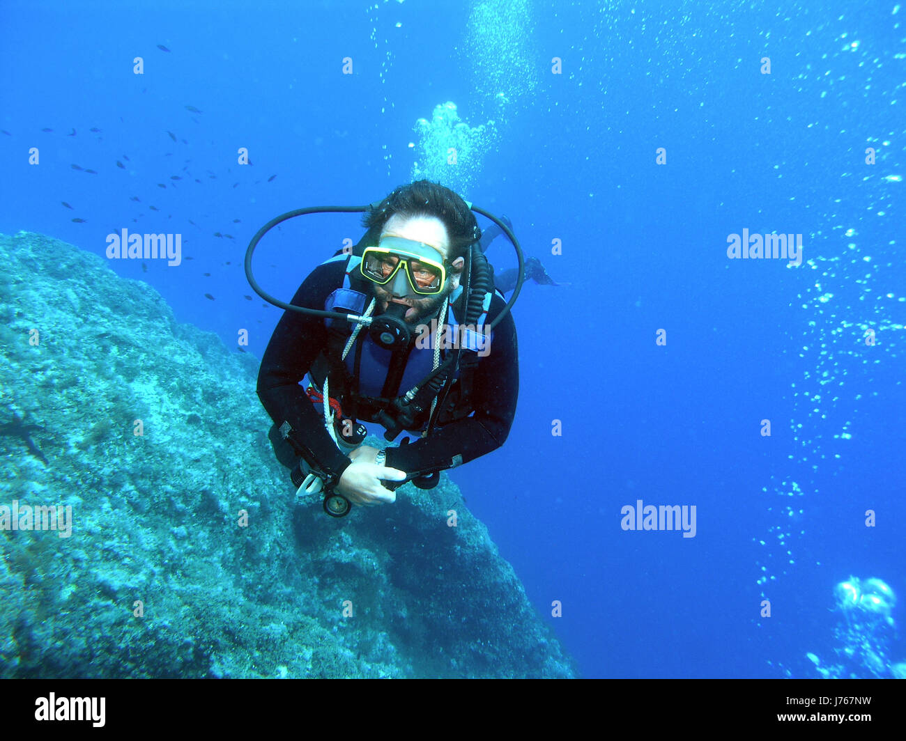 diver in underwater landscape Stock Photo - Alamy