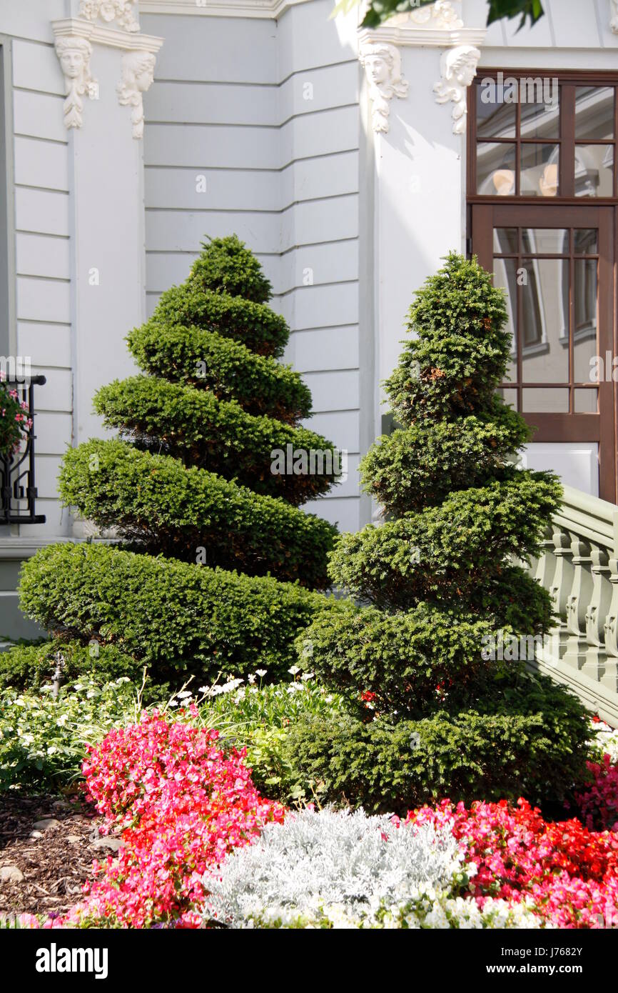 hecke in closeup Stock Photo - Alamy