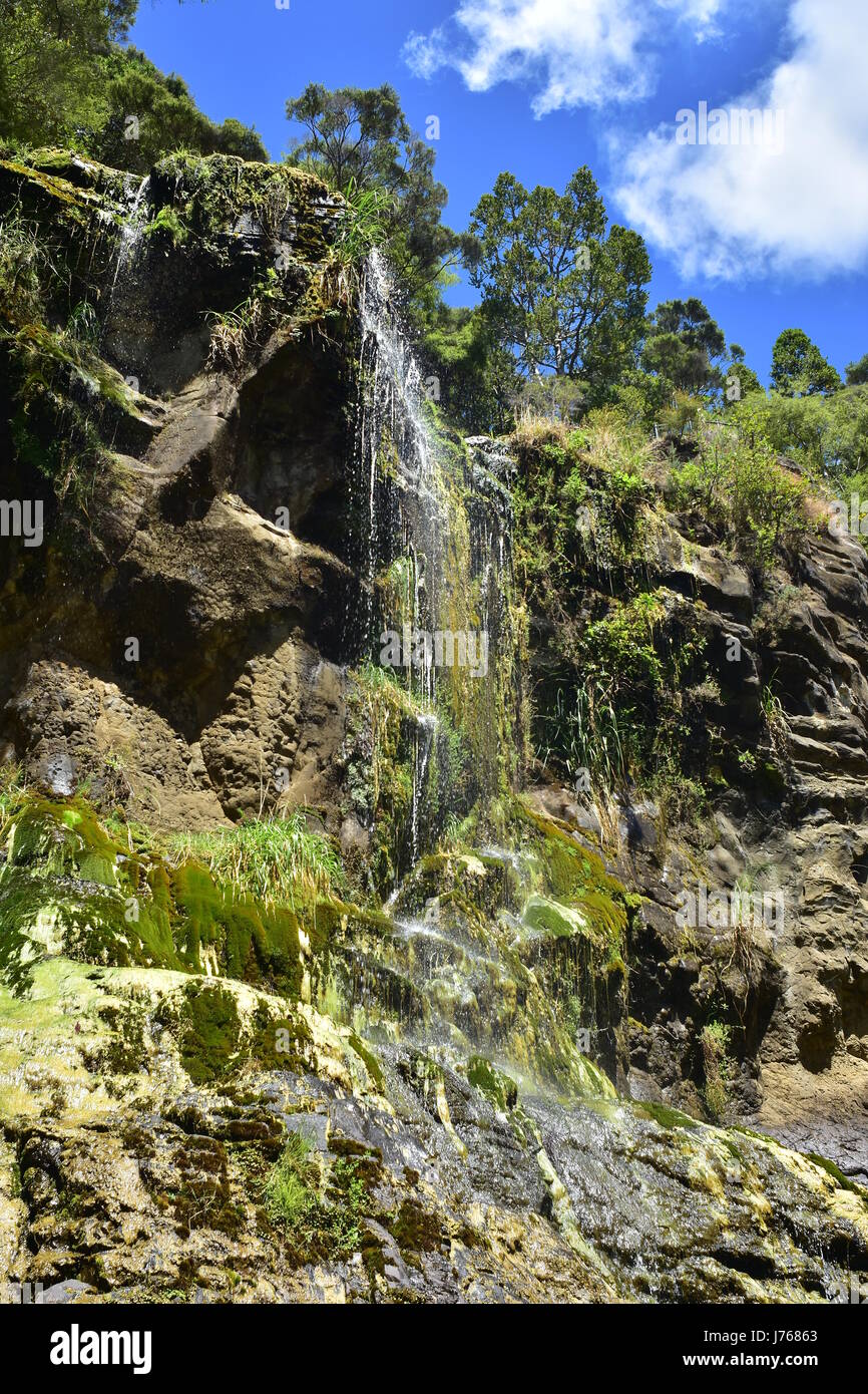 Waitakere ranges hi-res stock photography and images - Alamy