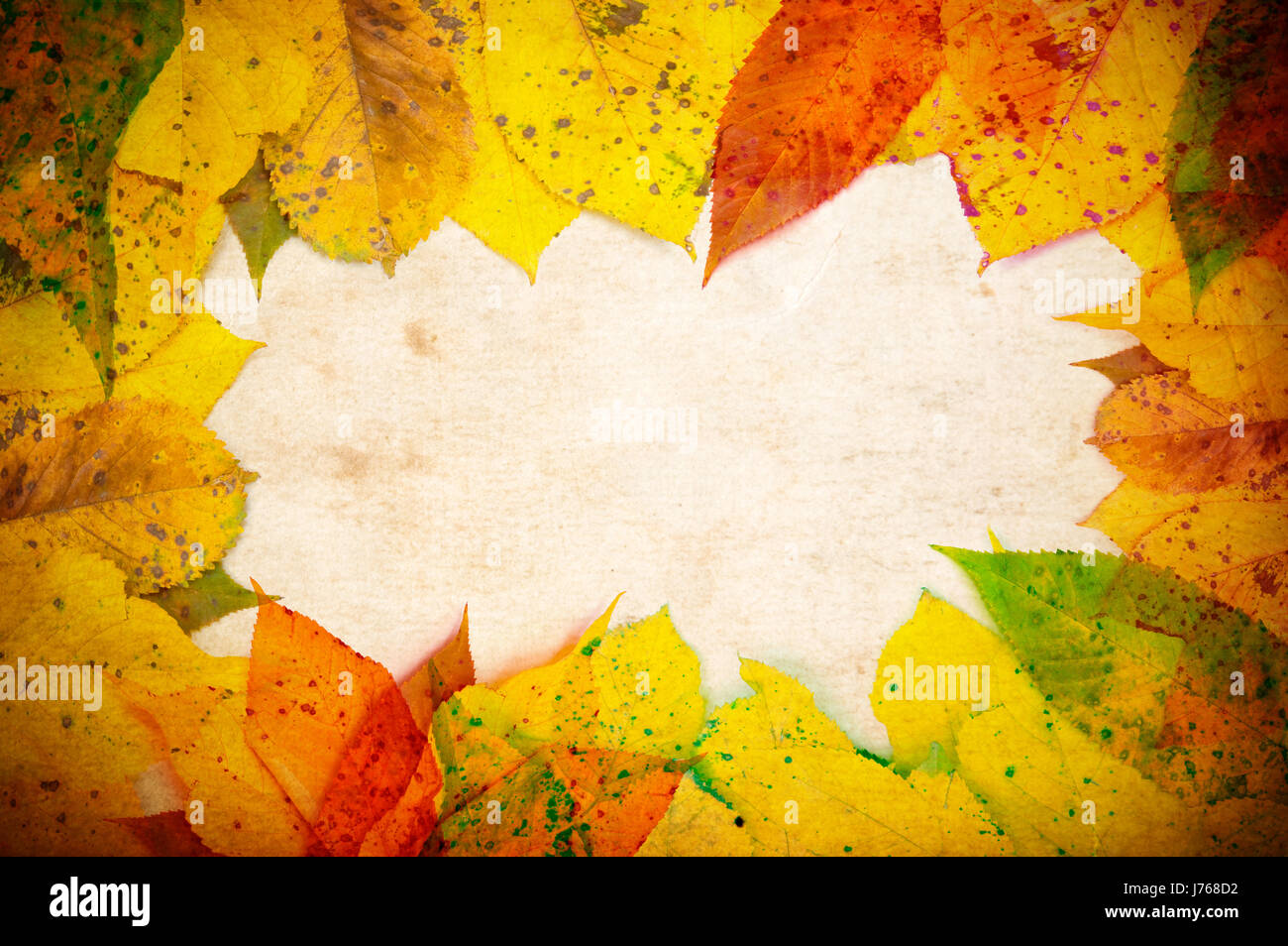 leaves vintage backdrop background foliage fall autumn close beautiful ...