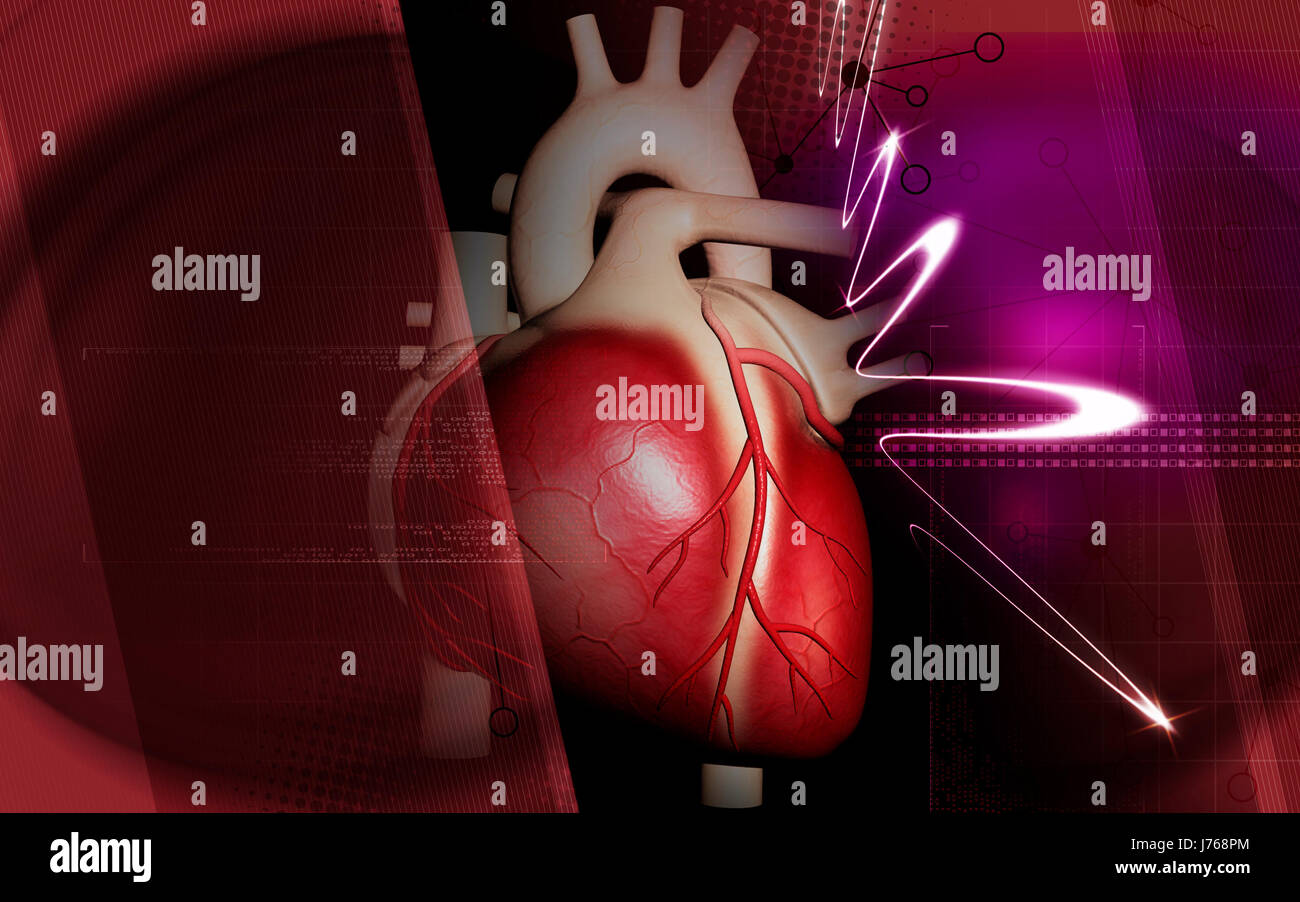education health medicinally medical circulation graphics colour ...