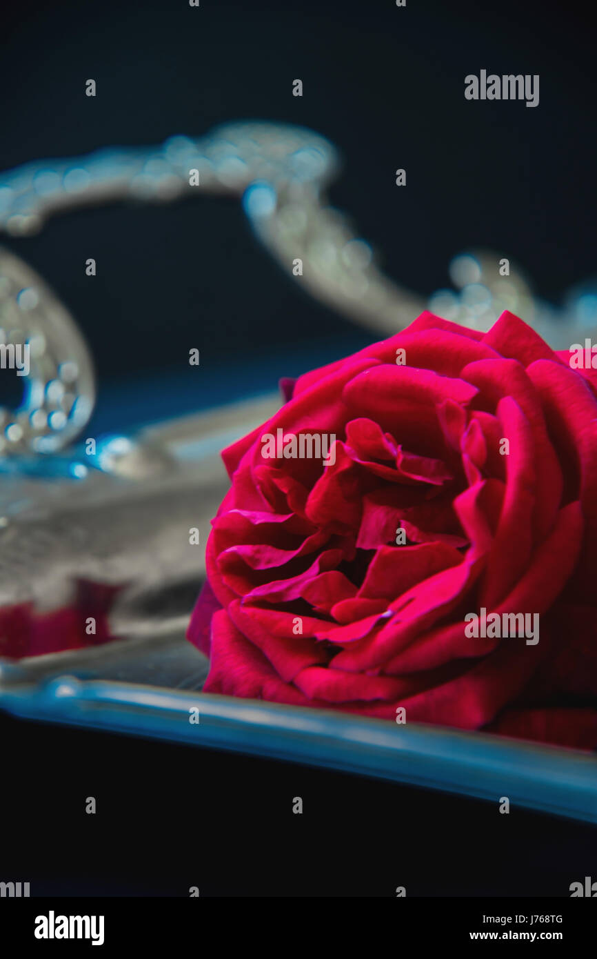 Silver candy tray hi-res stock photography and images - Alamy