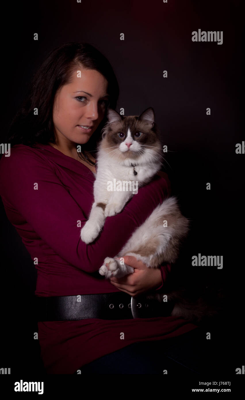 woman with kitten Stock Photo - Alamy