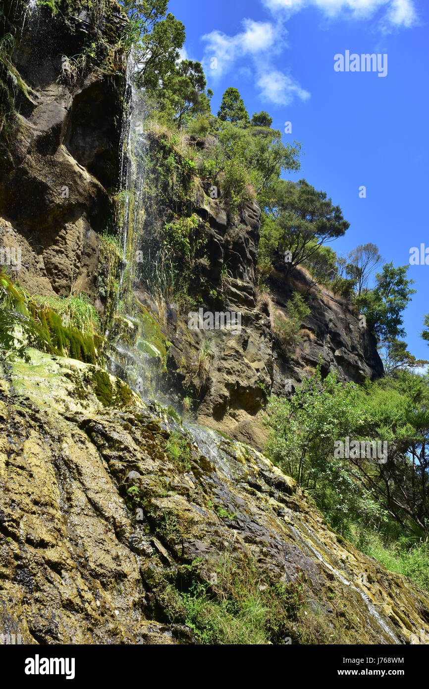 One of many waterfalls in Waitakere Ranges Regional Park in West ...