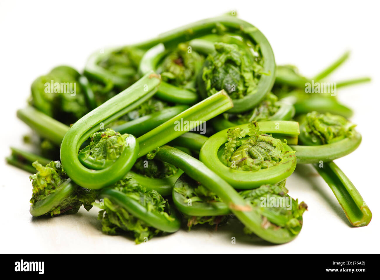 food aliment wild lawn green close some several a few health closeup ...