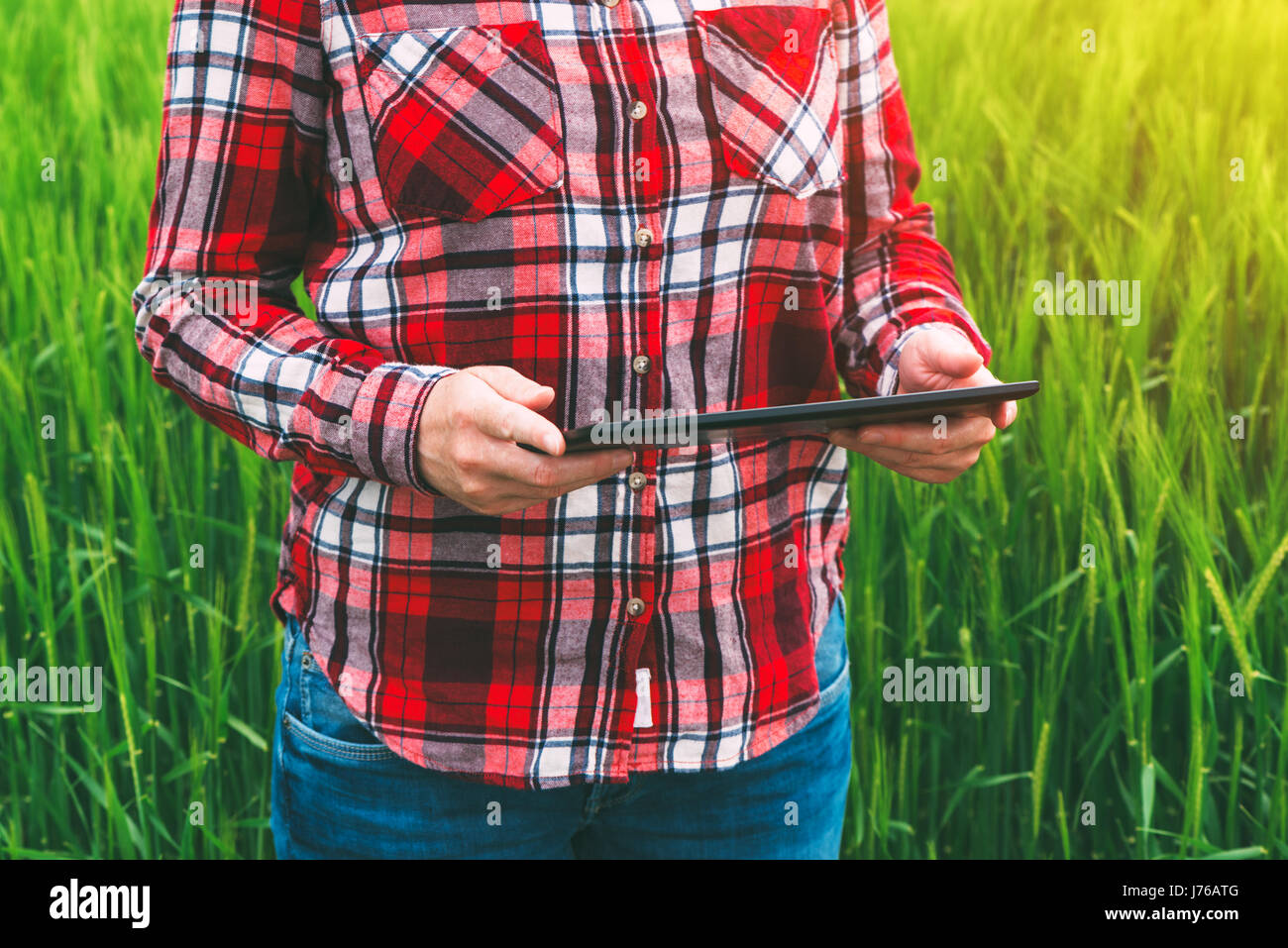 Female farmer using tablet computer in wheat crop field, concept of modern smart farming by ...