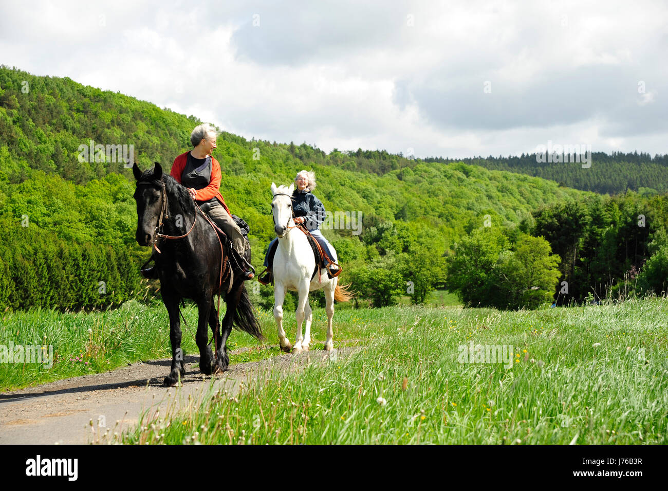 Elderly horse hi-res stock photography and images - Alamy