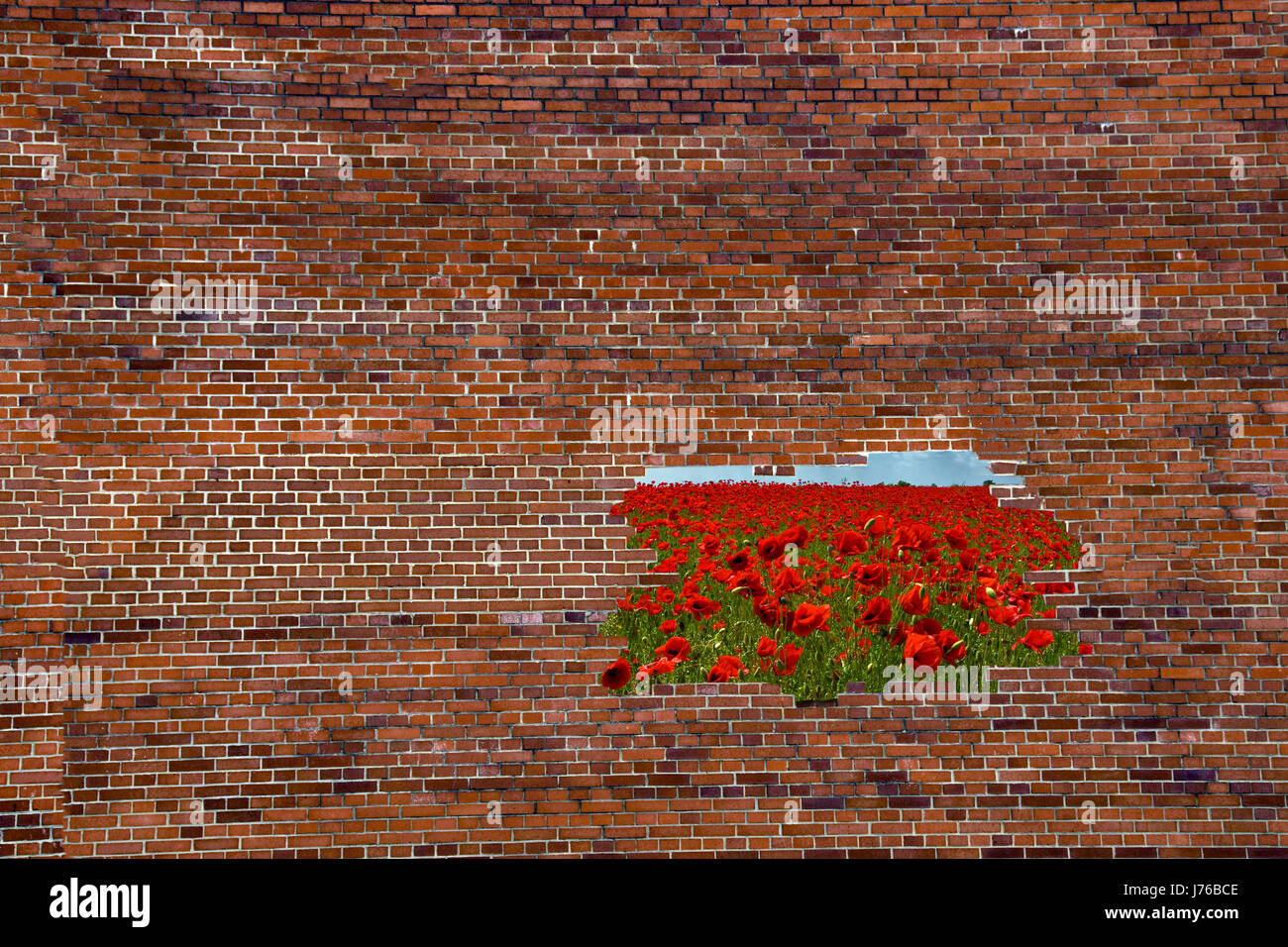 colour concrete broken brick cement color building bright house ...