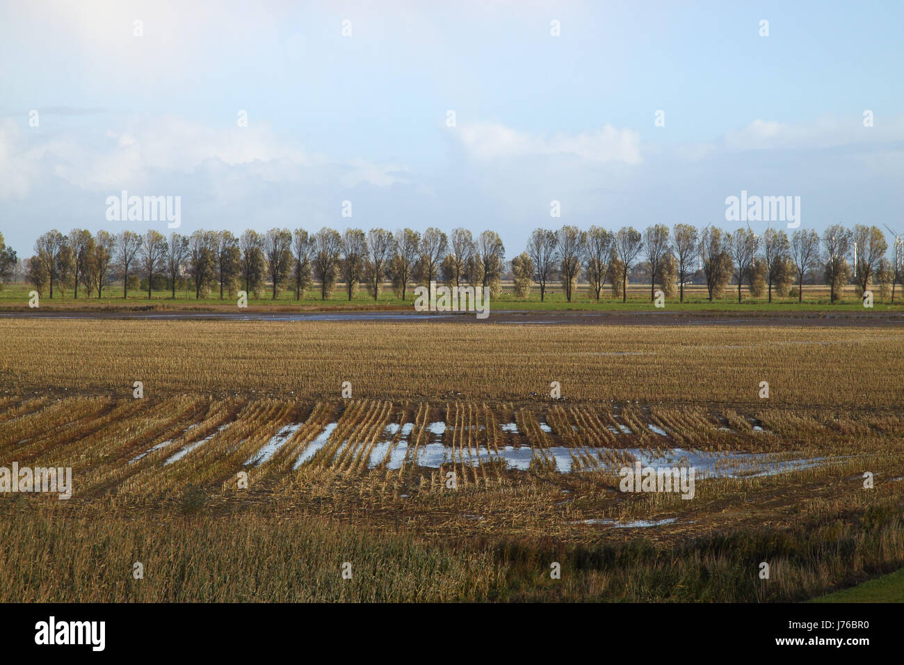 agriculture farming damage damages detriments puddles water rain ...