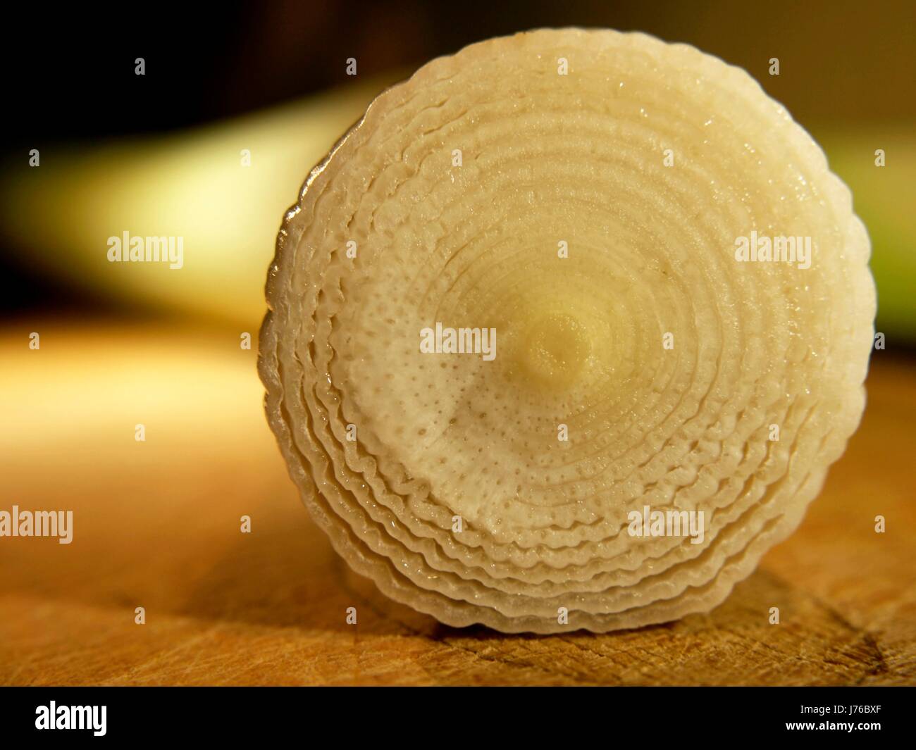 Fleischlauch hi-res stock photography and images - Alamy