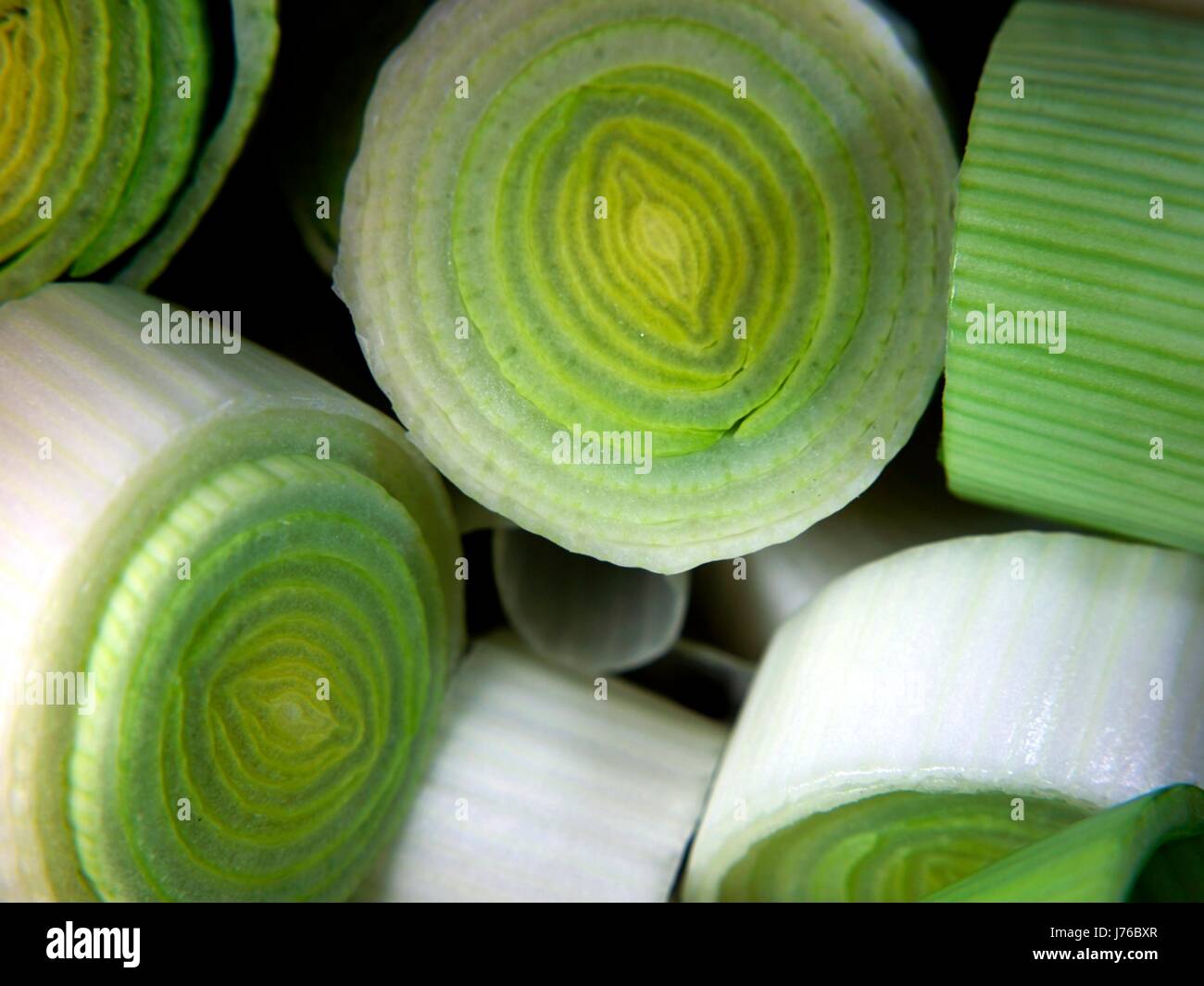 vegetable leek plant vegetable leek plant ackerlauch fleischlauch ...