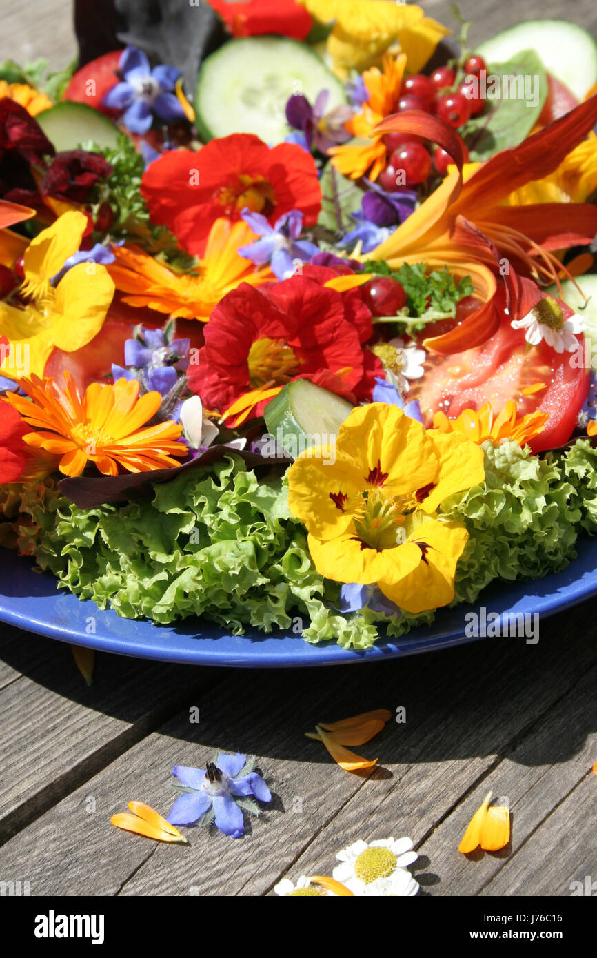 blossoms fruit vegetable bleed table salad lifestyle coloured colourful ...