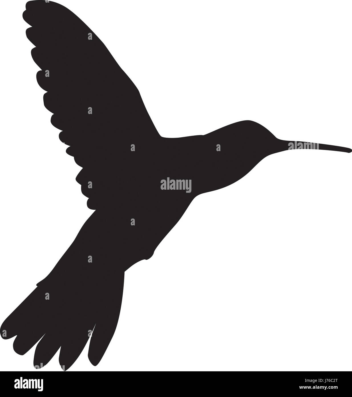 bird illustration motion postponement moving movement isolated flight ...