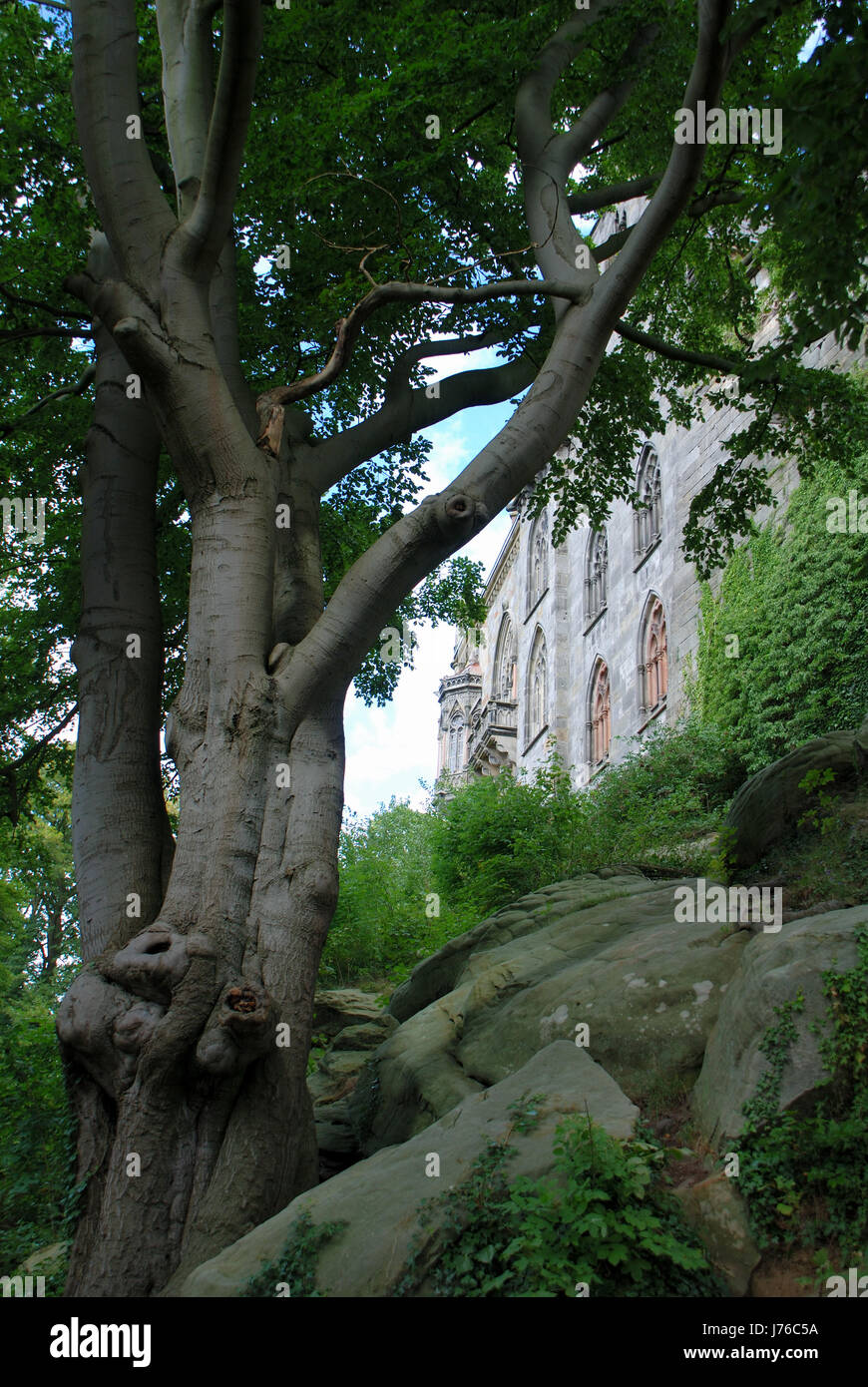 castle in bad bentheim Stock Photo - Alamy