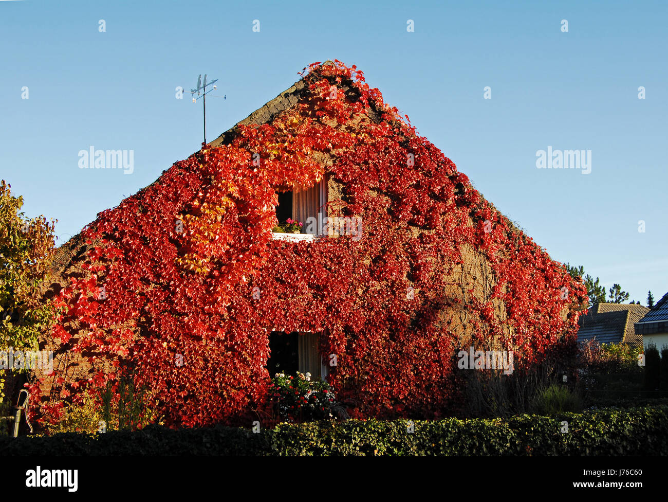 house building gable red fall autumn house building home dwelling house ...