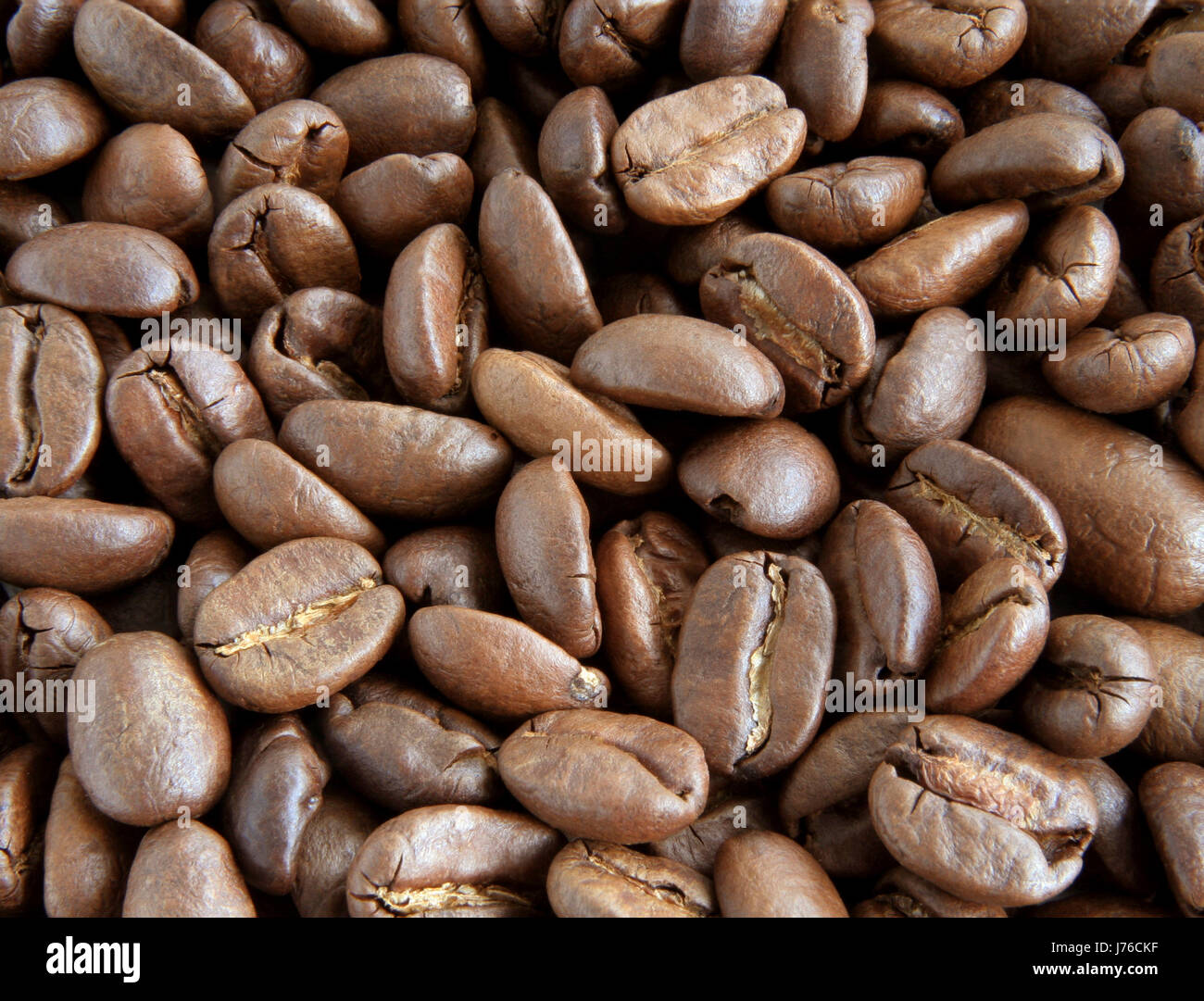 coffee coffee bean grain aromatic stimulant bean backdrop background ...