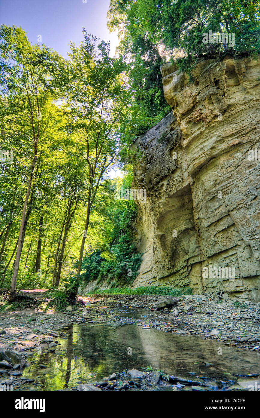 park erosion cliff limestone creek forest nature blue shine shines ...