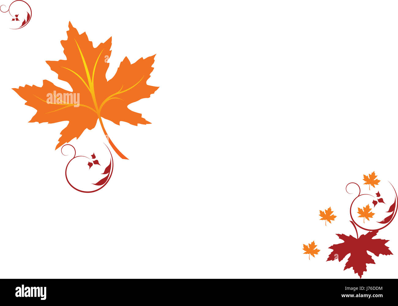 leaf illustration backdrop background fall autumn leaf isolated tree ...