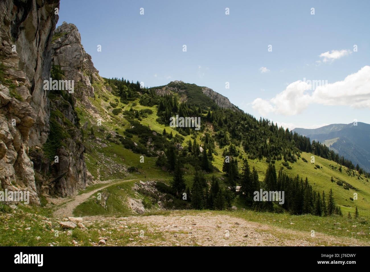 alps valley mountain range ascent mountain path tree trees mountains ...