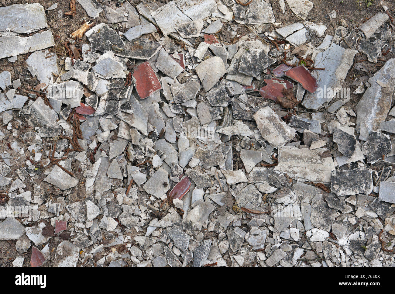 Thousand small splinters of an old tile and plaster on the forest earth ...