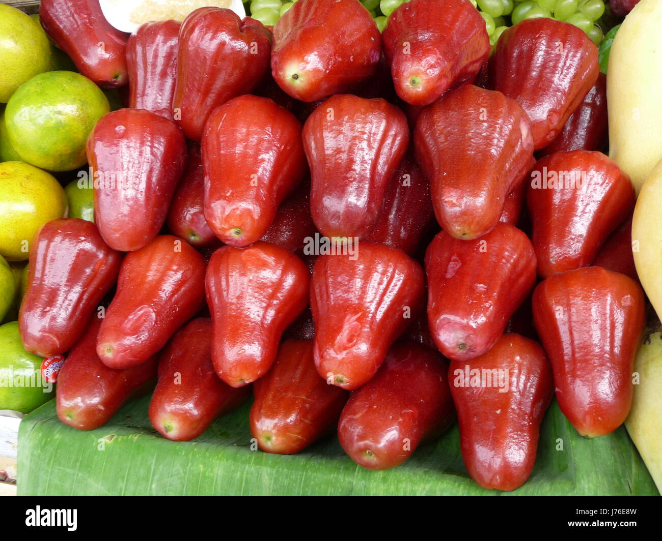 progenies fruits southern fruits progenies fruits fruity valuable ...