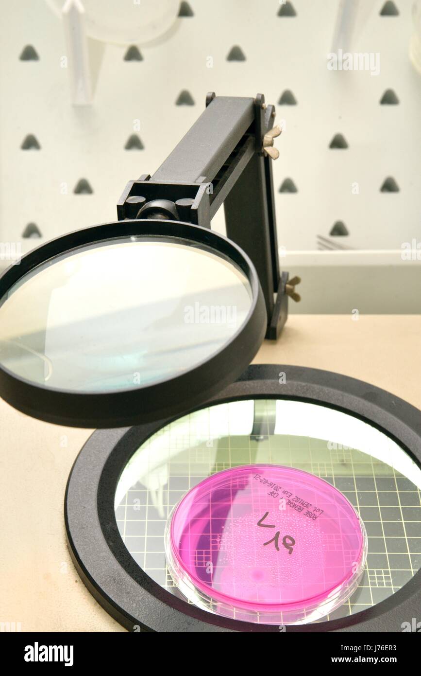 Lab chart hi-res stock photography and images - Alamy