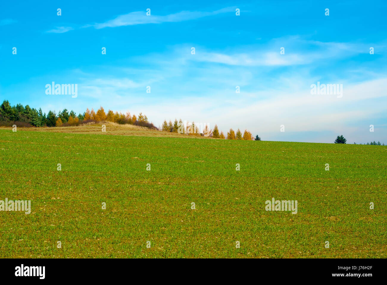blue field nice clouds firmament sky fall autumn blue beautiful ...