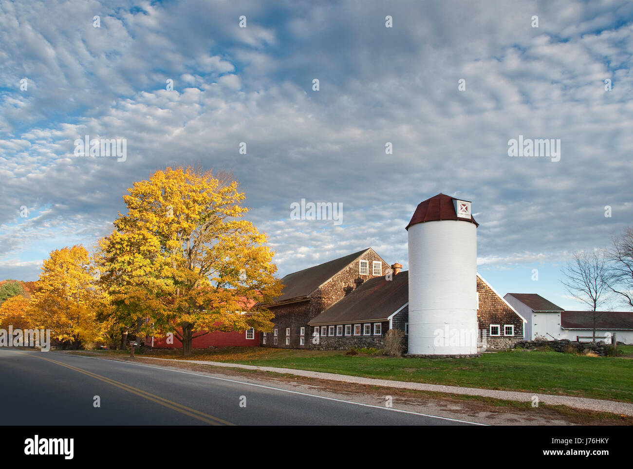 barn farm dairy leaves foliage fall autumn leaf tree agriculture ...