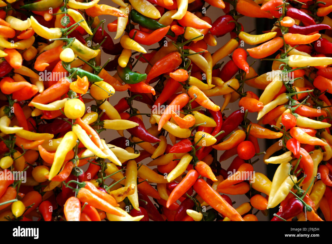 vegetable decoration hang paprika peppers plaits braids plait food ...