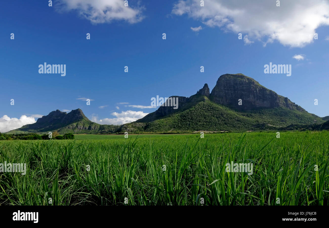 mountains sugar acre mauritius sugar cane scenery countryside nature ...