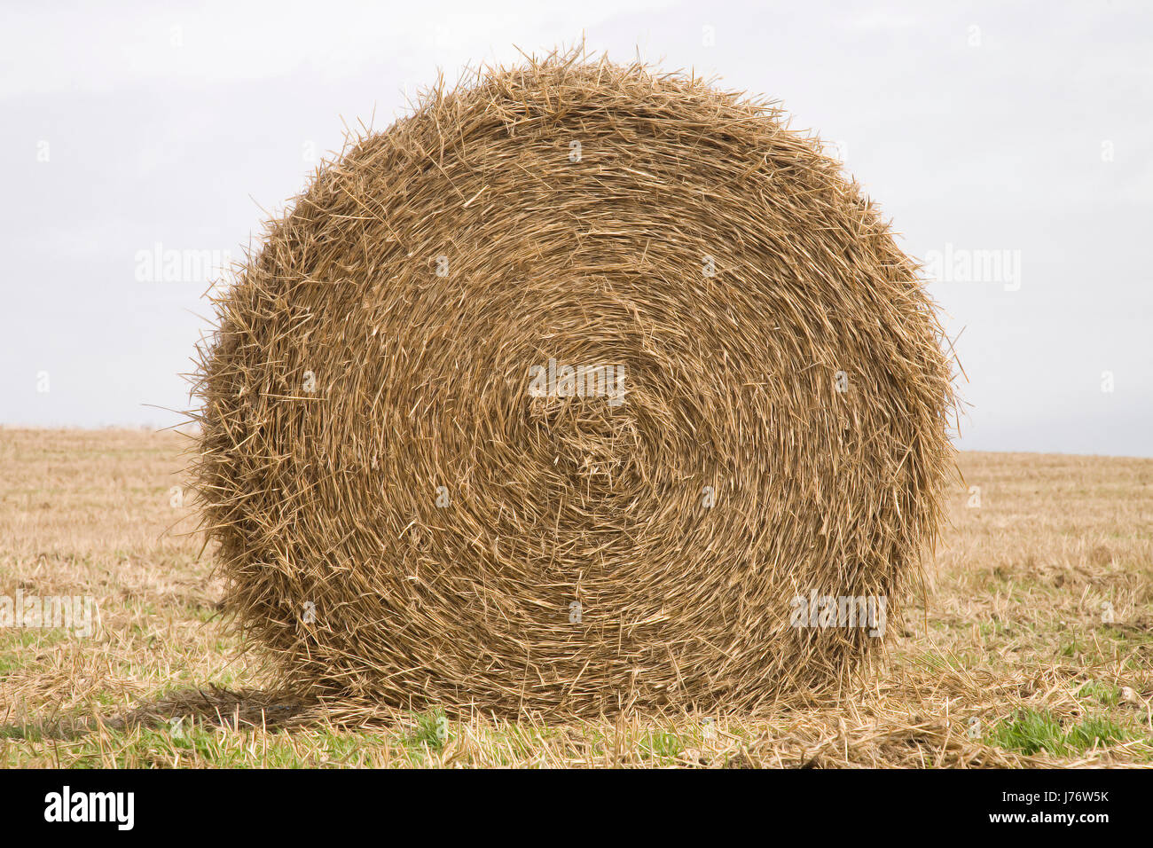 bound tied straw complete perfect harvest field bound tied straw ...