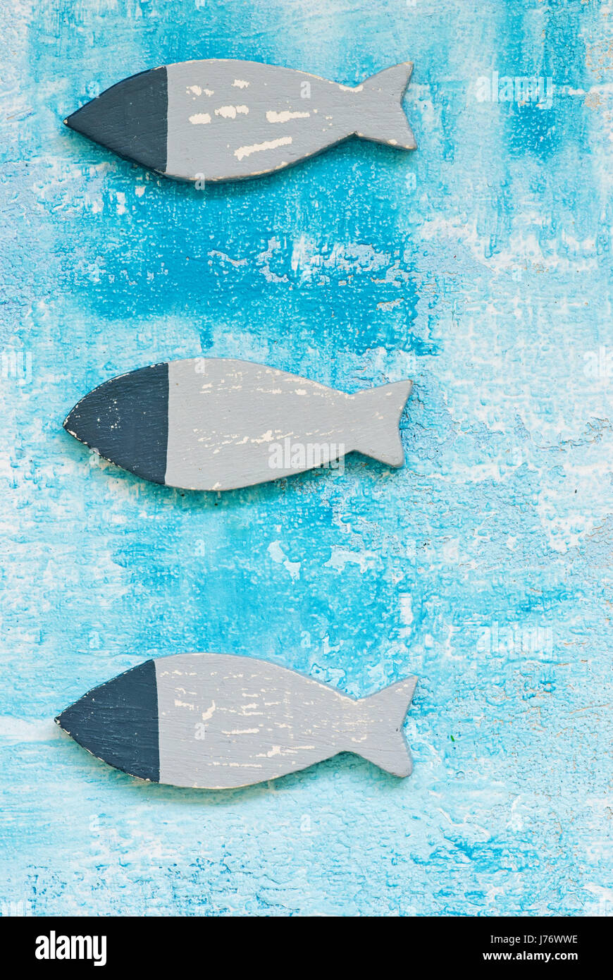 still life blue maritime fish texture still life blue object maritime ...