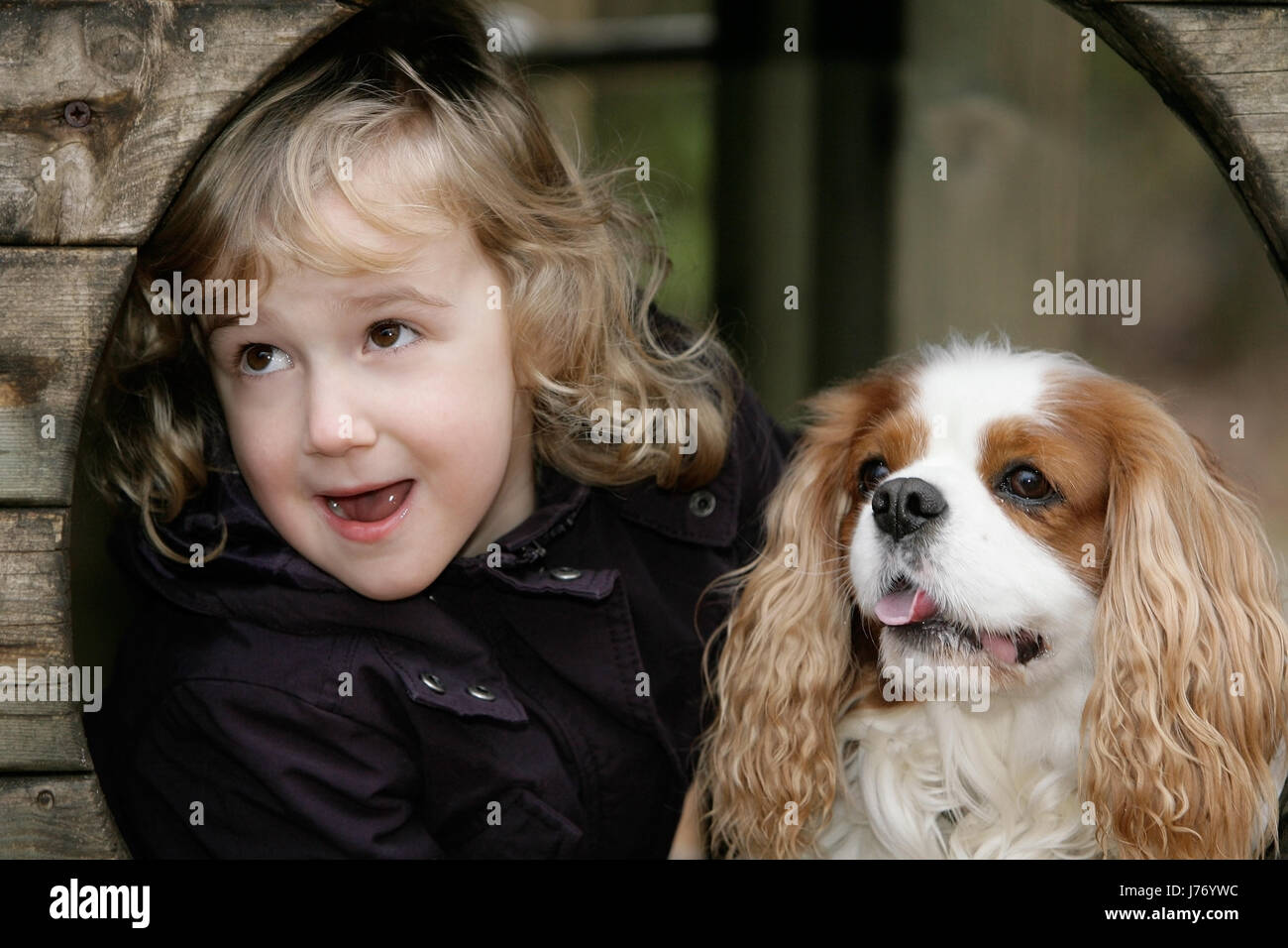 friendship dog dear embrace spaniel child girl girls friends hugging ...